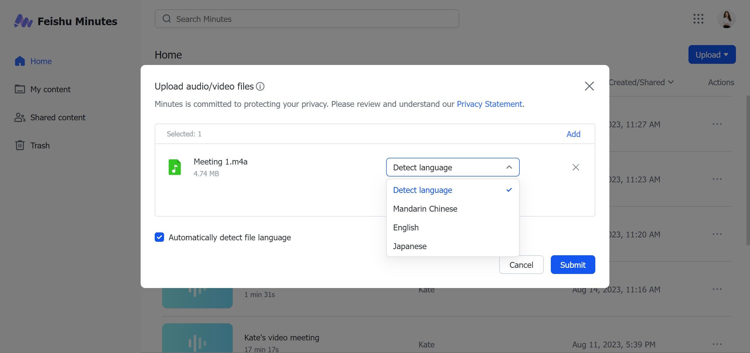 Generate meeting minutes